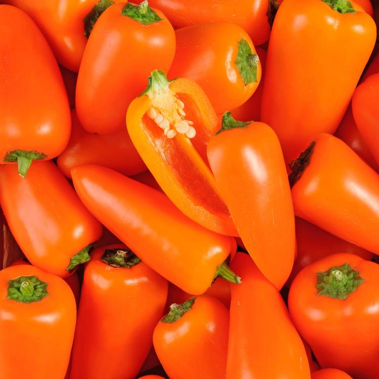 Le Mini poivron orange doux - Mon Marché