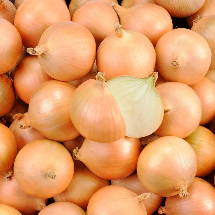 L'Oignon jaune en filet HVE - mon-marché.fr