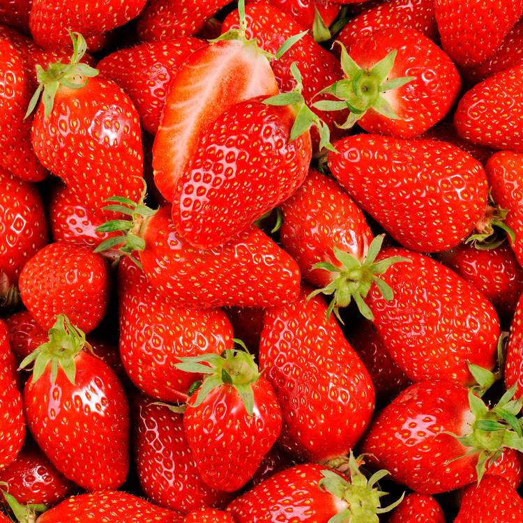 La Fraise gariguette 250g - mon-marché.fr