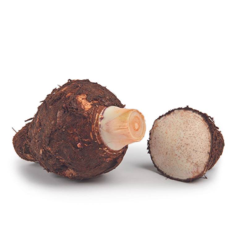 Le Tarot dashine - mon-marché.fr