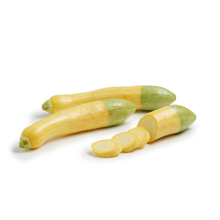 La Courgette zephyr HVE - mon-marché.fr