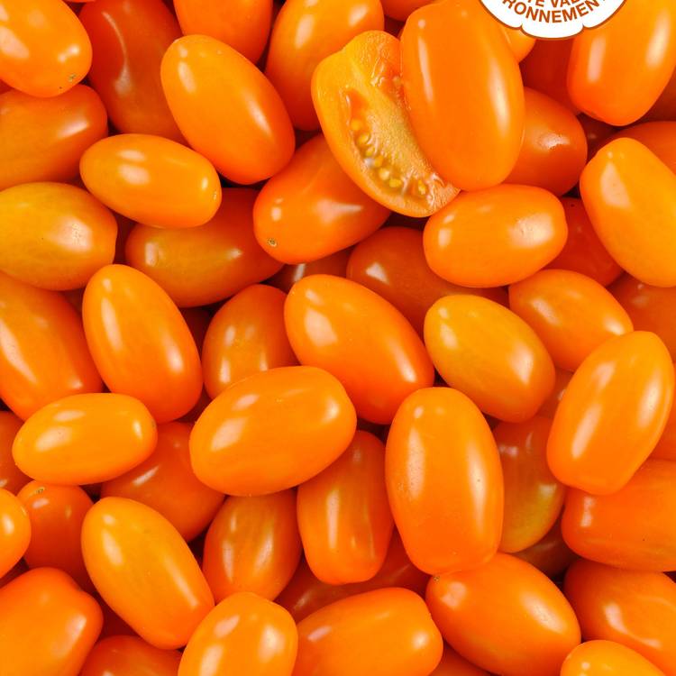 La Tomate cerise allongée orange HVE - mon-marché.fr