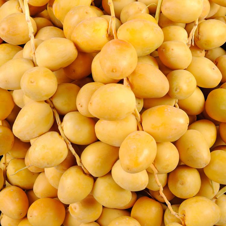 La Datte fraîche barhi - mon-marché.fr