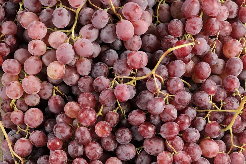 Le Raisin red globe BIO - Mon Marché