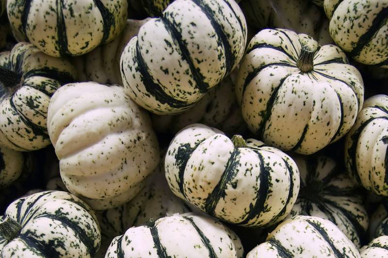 La Courge Patidou BIO - Mon Marché