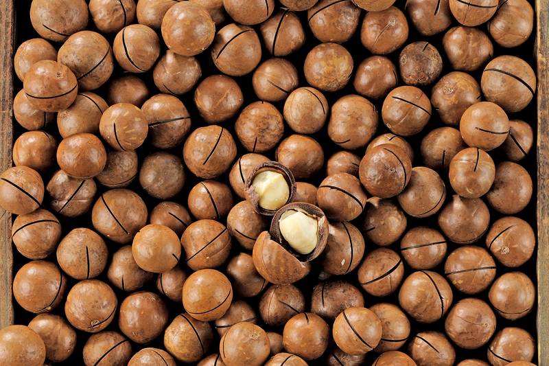 La Noix de macadamia - Mon Marché