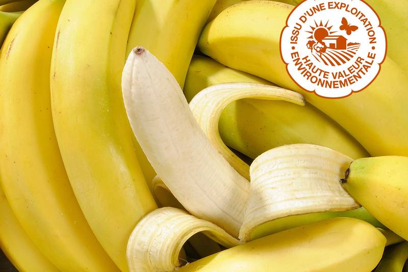 La Main de bananes des Antilles HVE - Mon Marché