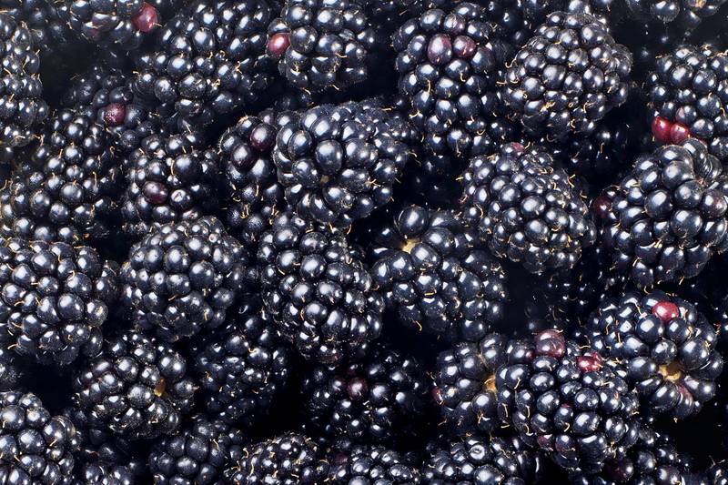 La Mûre en colis - Mon Marché