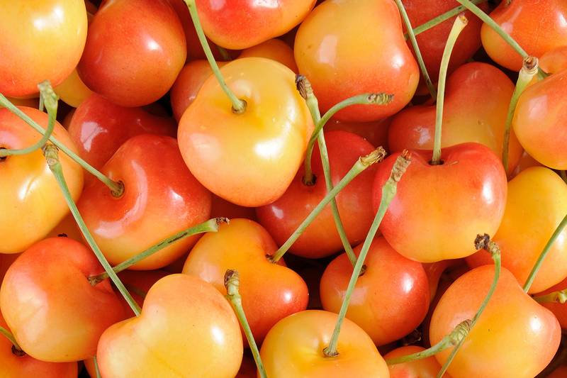 La Cerise rainier en panier - Mon Marché