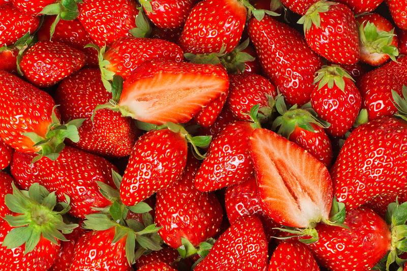 Fraise Variété Dream – Tout savoir sur la fraise Cléry – AZZU