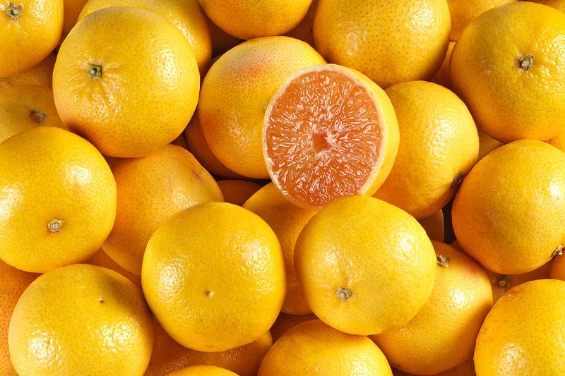 Le Tangelolo - Mon Marché