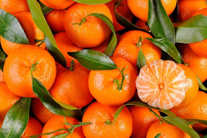 La Clémentine Corse BIO - Mon Marché