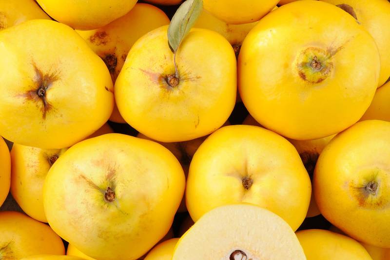 Le Coing - Mon Marché