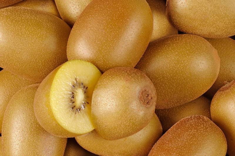 Kiwi jaune Sun Gold en livraison - Mon Marché