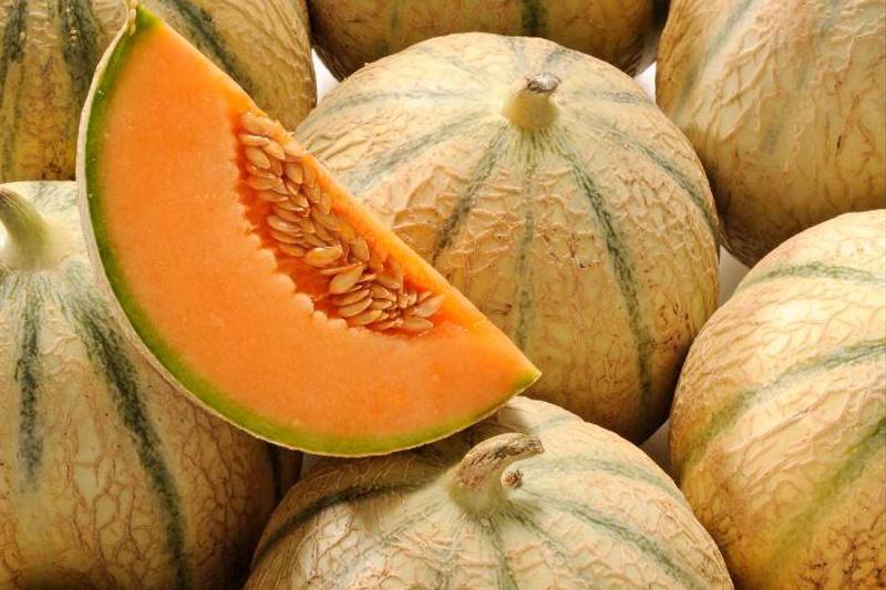Le Melon Sélection Puis d'Amour - Mon Marché