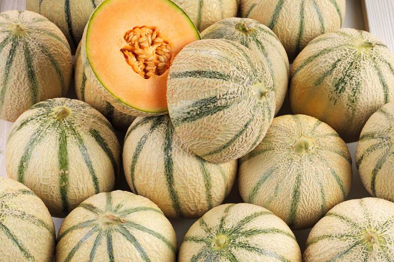 Le Melon charentais BIO - Mon Marché