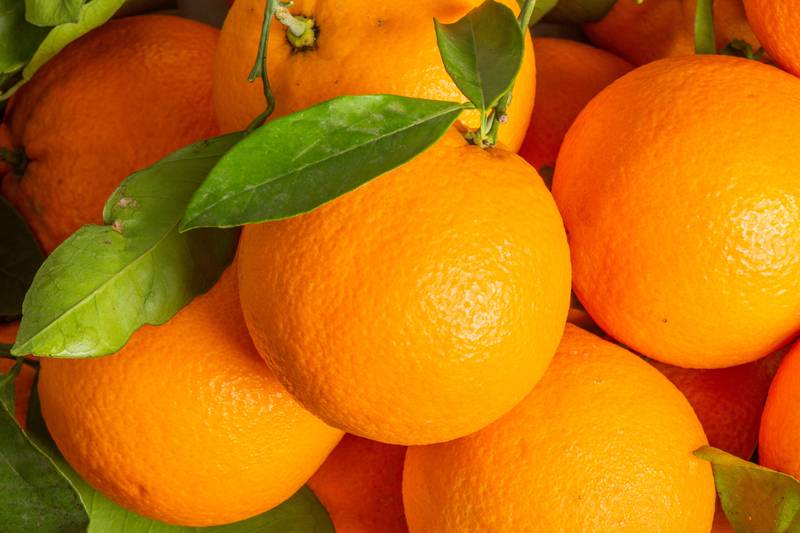 L'Orange feuille BIO - Mon Marché