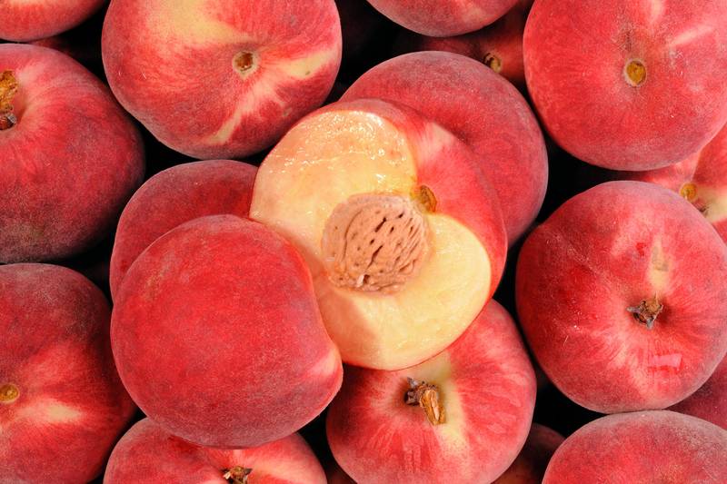 La Pêche blanche BIO - Mon Marché