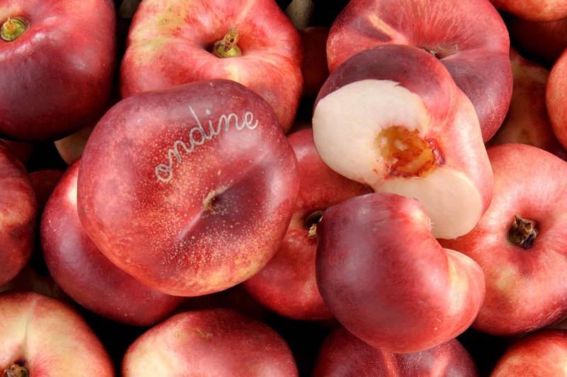 La Nectarine plate blanche HVE - Mon Marché