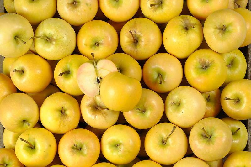 La Pomme primgold BIO - Mon Marché