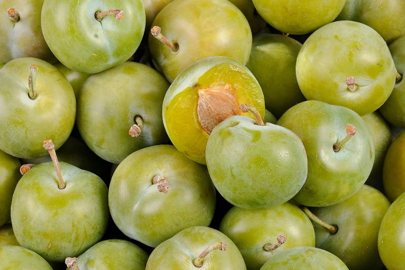 La Prune reine-claude - Mon Marché