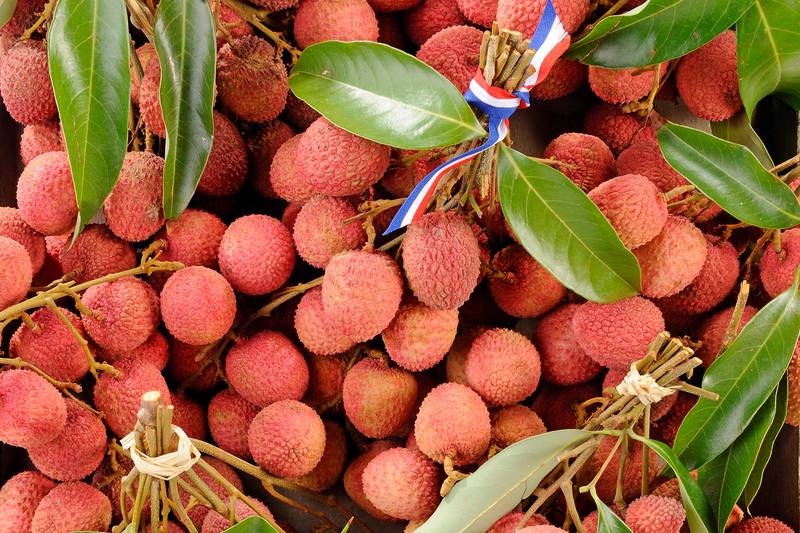 Le Litchi branche BIO - Mon Marché