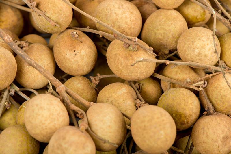 Le Longane - mon-marché.fr