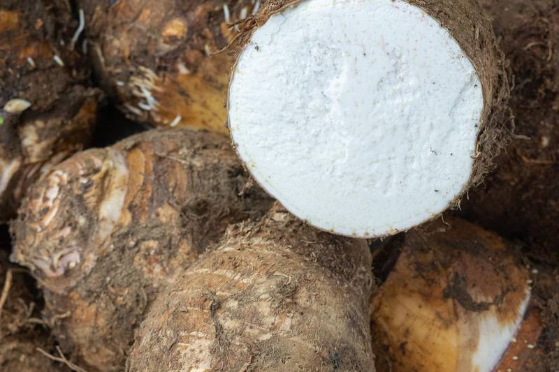 Achat en ligne - Le Tarot dashine - mon-marché.fr