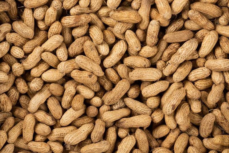 La Cacahuète fraîche - Mon Marché