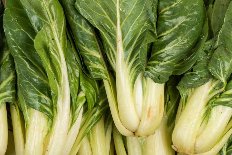 Chou pak choï – Légume asiatique croquant & facile à cuisiner