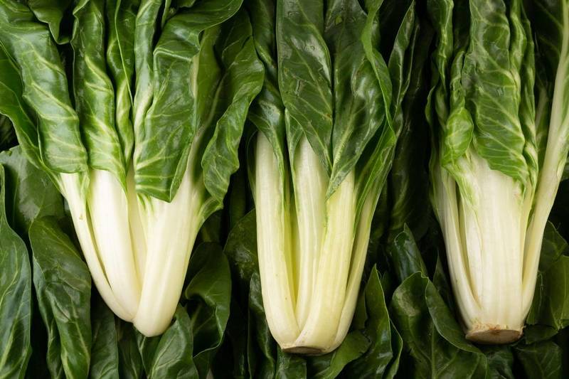 Le Pied de Bette - mon-marché.fr