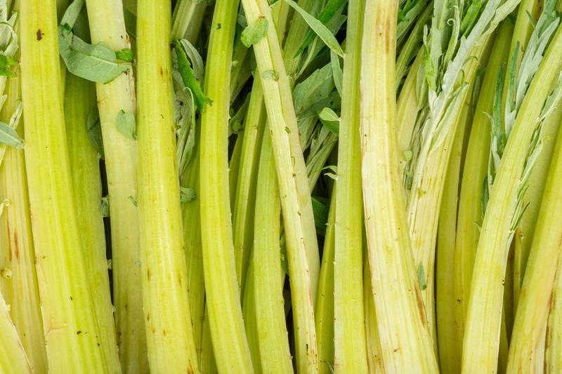 Le Cardon - Mon Marché