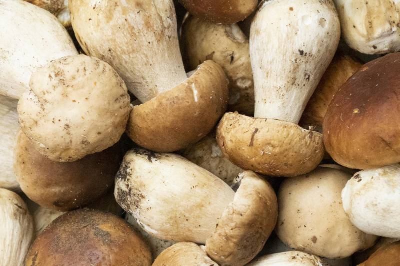 Le Cèpe - Mon Marché