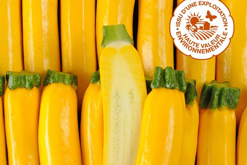 La Courgette jaune HVE - mon-marché.fr