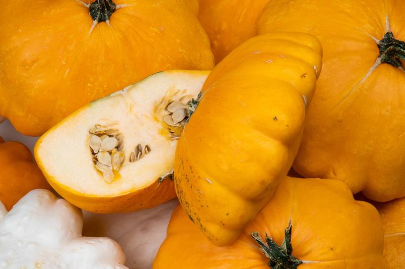 Le Pâtisson - Mon Marché