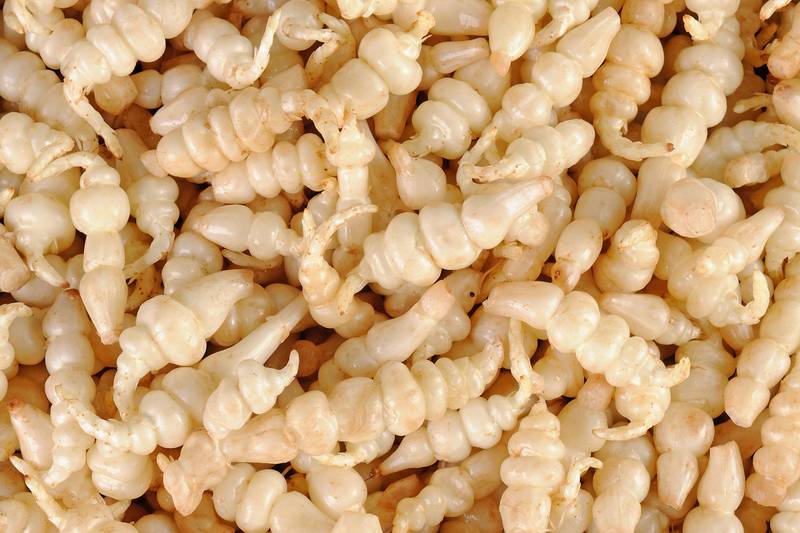 Le Crosne - Mon Marché