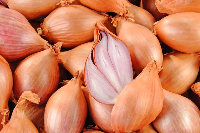 L’Échalote traditionnelle longue - mon-marché.fr