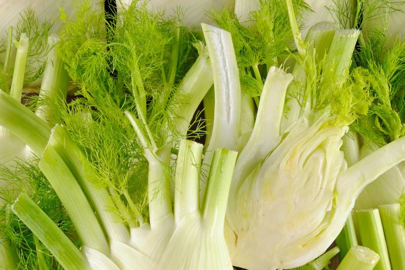 Le Fenouil - Mon Marché