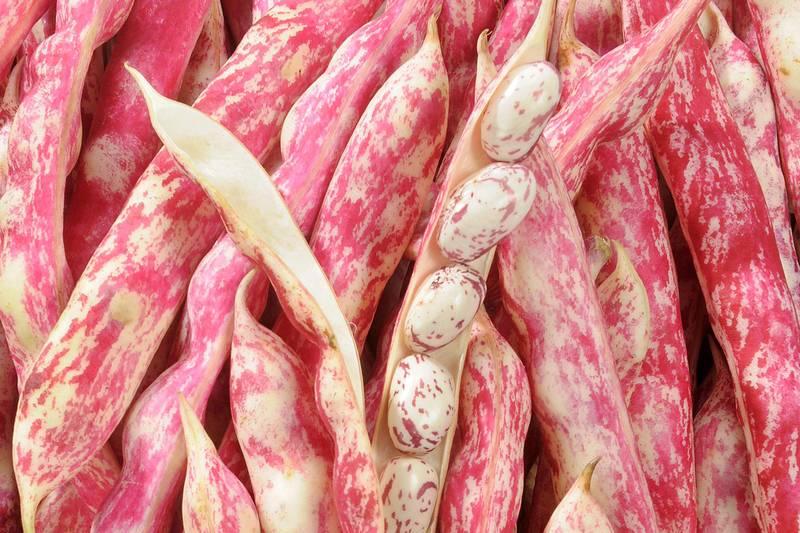 Le Haricot coco rouge - Mon Marché