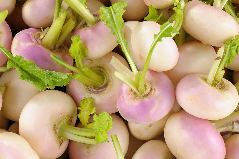 Les Mini navets - Mon Marché