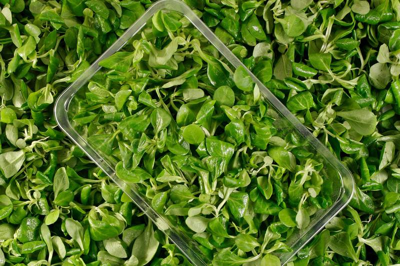 Achat de mâche en ligne - mon-marché.fr