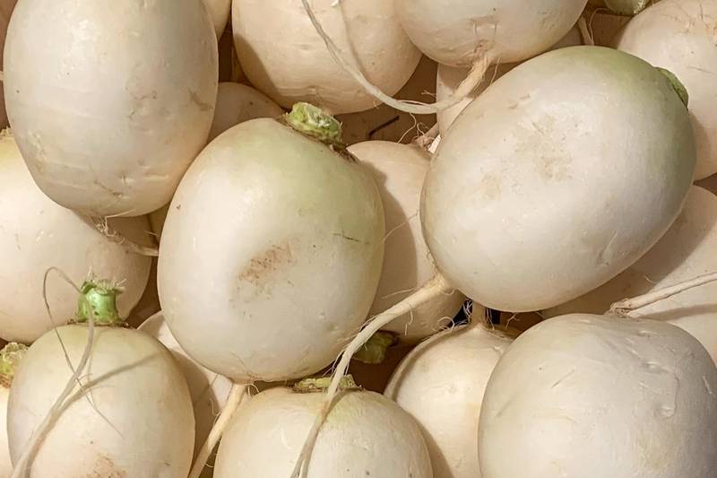 Le Navet marteau - Mon Marché