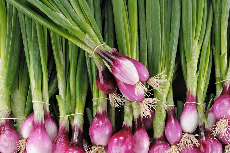 Oignon Botte Rouge France - Mon Marché