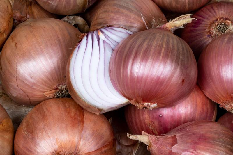 L'Oignon rosé de Roscoff AOP - Mon Marché