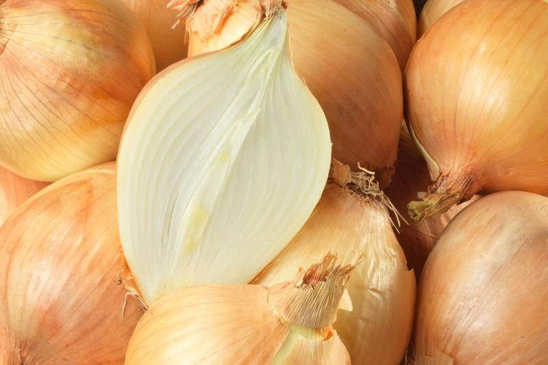 Les Oignons sunions - Mon Marché