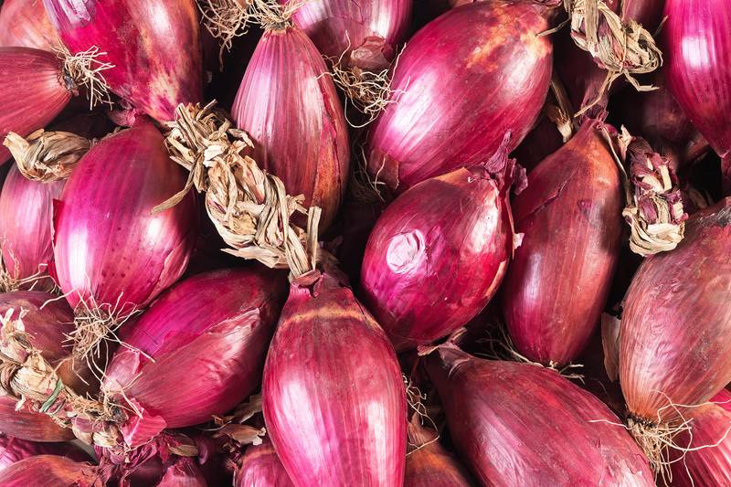 L'Oignon rouge de Tropea IGP - Mon Marché