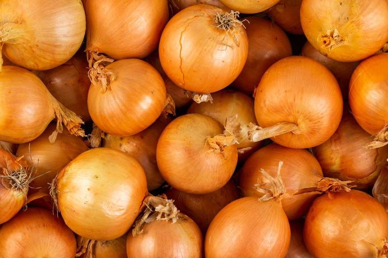 L'Oignon jaune BIO - Mon Marché