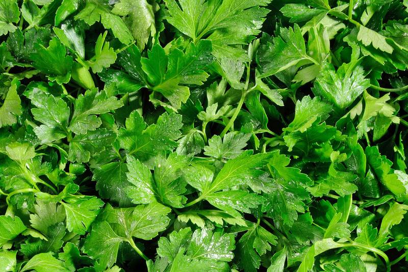 Le Persil plat - Mon Marché