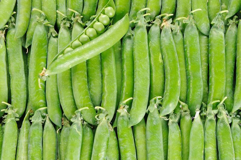 Le Petit pois - Mon Marché