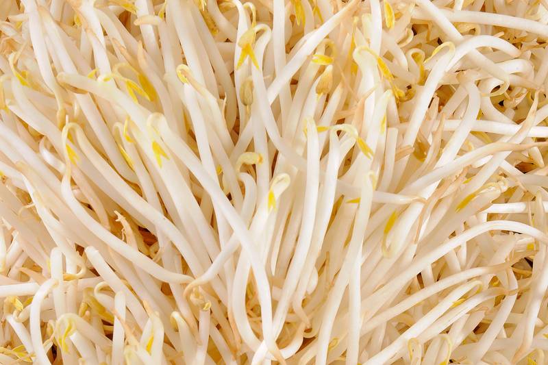 Le Haricot Mungo - Mon Marché